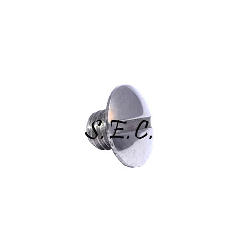 Elektra Screw M5X5 - Stainless Steel for T1 Body Panel | 01969015 ...